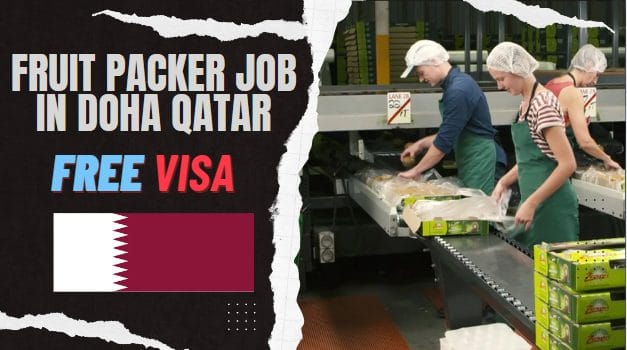 Fruit Packer Job In Qatar - Hurry Up Apply Now